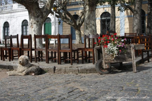 Colonia: un lugar al que volvería mil veces | Magia en el Camino