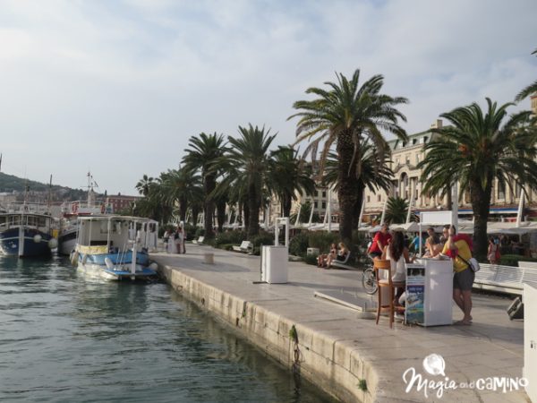 Split (o cuando la imaginación te miente a medias) | Magia en el Camino