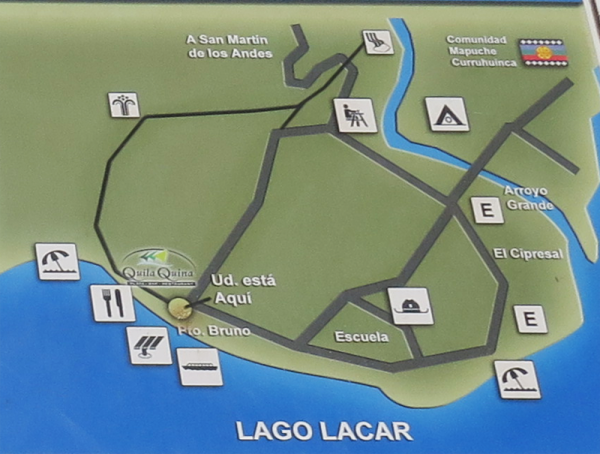 Excursión a la playa de Quila Quina | Magia en el Camino