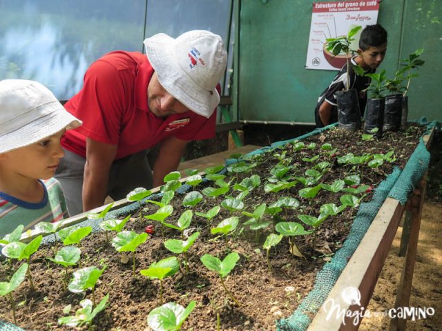 Tour del chocolate, café y azúcar en Costa Rica | Magia en el Camino