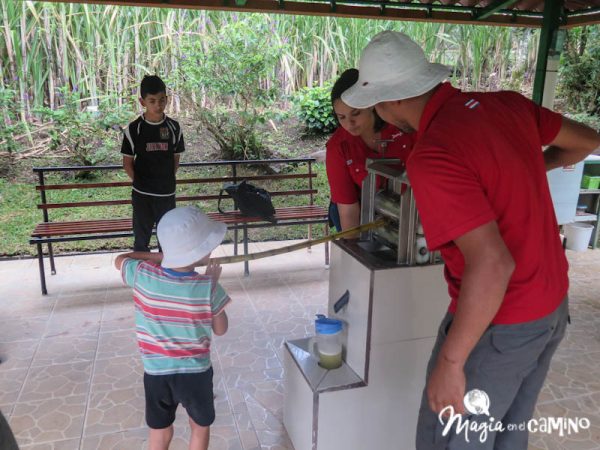 Tour del chocolate, café y azúcar en Costa Rica | Magia en el Camino