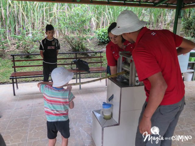 Tour del chocolate, café y azúcar en Costa Rica | Magia en el Camino