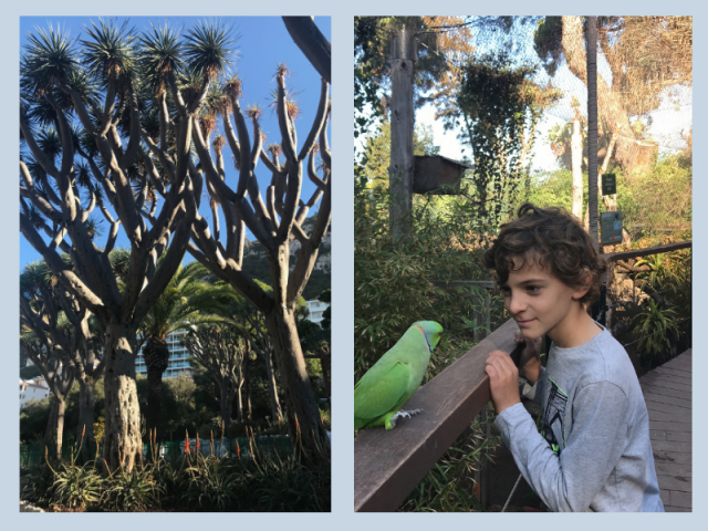 Qué hacer en GIBRALTAR con NIÑOS | Magia en el Camino