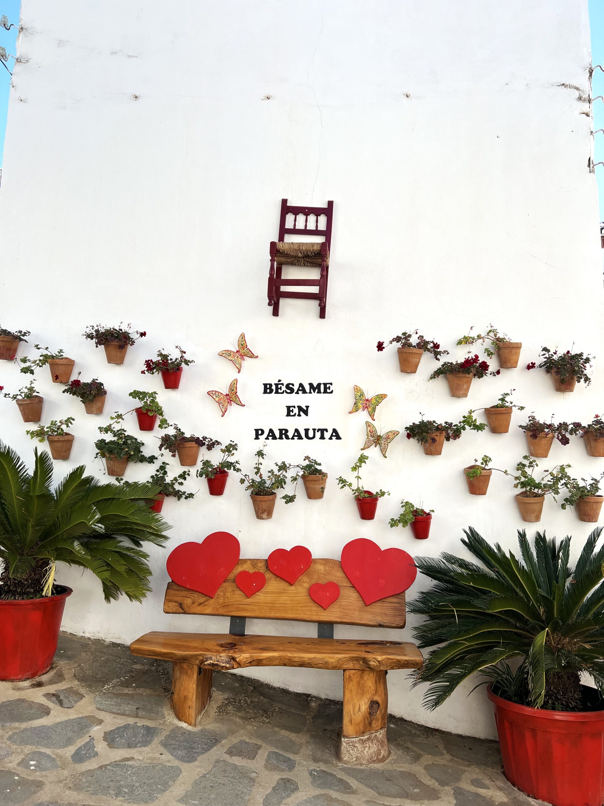 BOSQUE ENCANTADO en PARAUTA: ruta con niños | Magia en el Camino