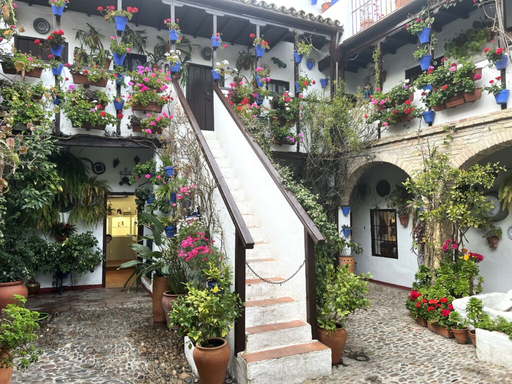4 opciones para visitar los PATIOS de CÓRDOBA, en España | Magia en el ...